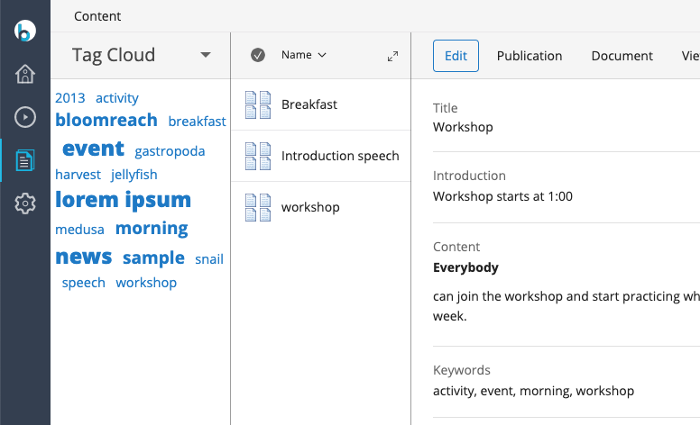 Tagging Plugin Configuration - Bloomreach Experience Manager (PaaS/Self ...
